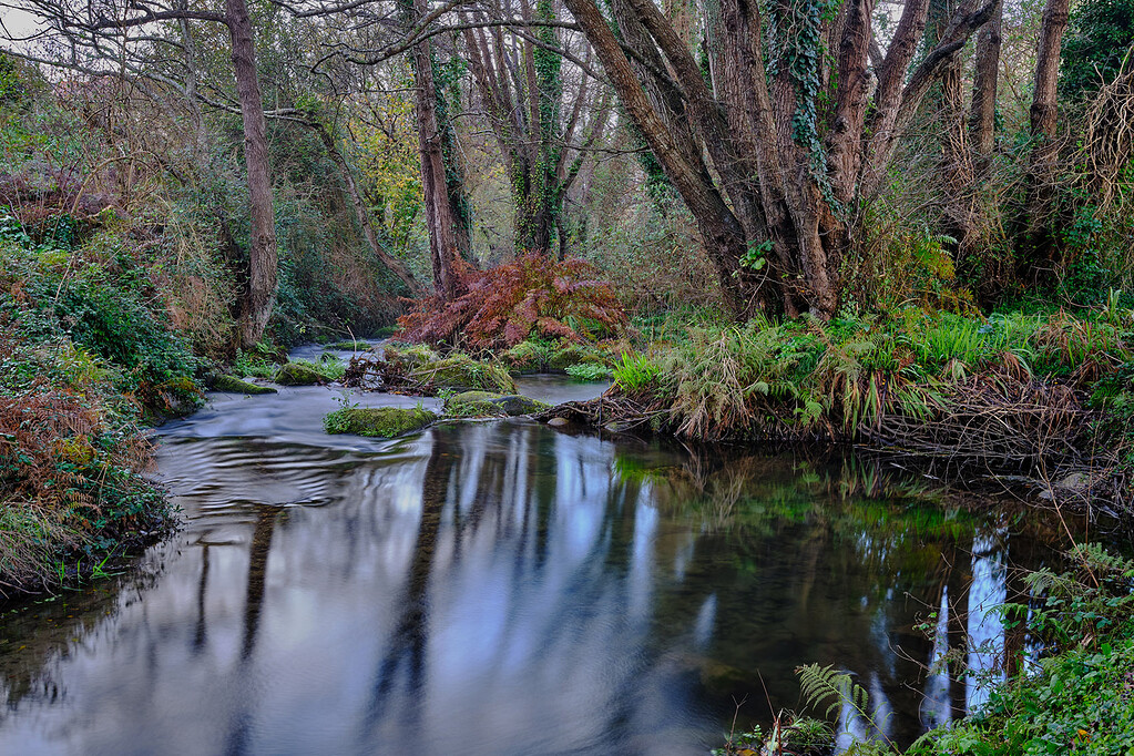 Remanso de río - Paisajes - Foro OjoDigital